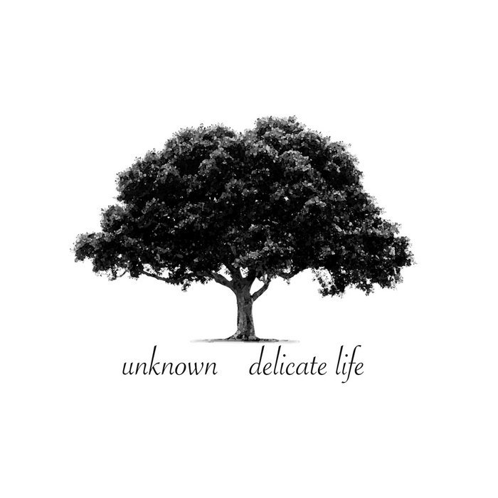 Delicate life | unknown