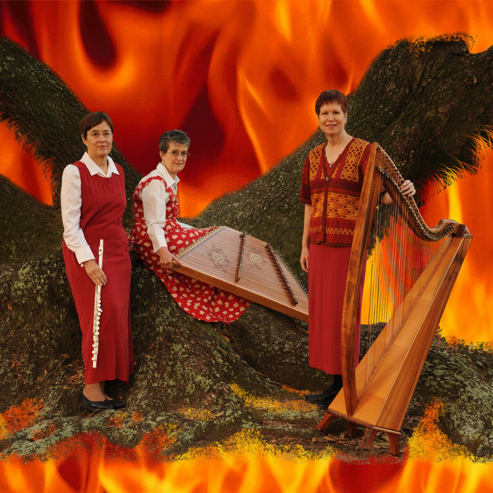 St. Brigid's Flame | Constance Braden, Elizabeth Jeter, Mary Radspinner ...