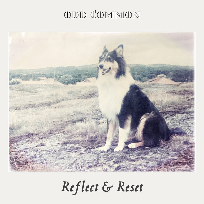 Reflect & Reset | odd common