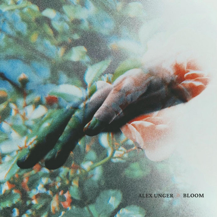 Bloom | Alex Unger