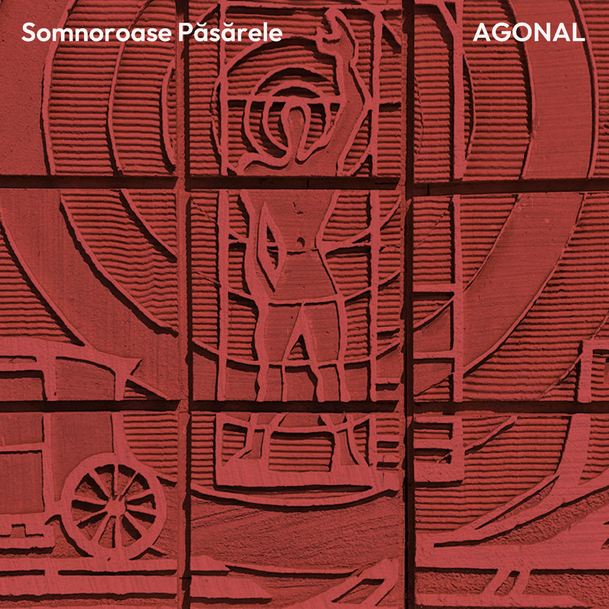 AGONAL | SOMNOROASE PĂSĂRELE