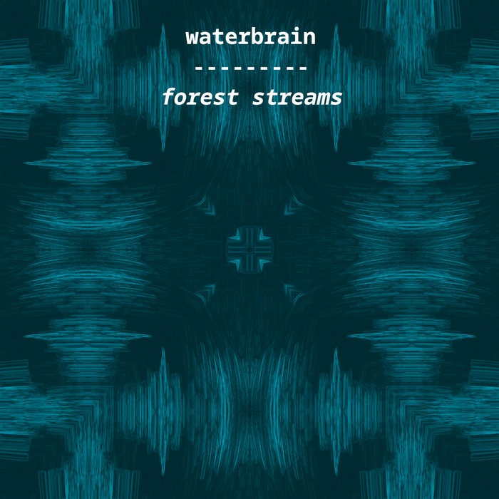 waterbrain - forest streams | undefinedlabel