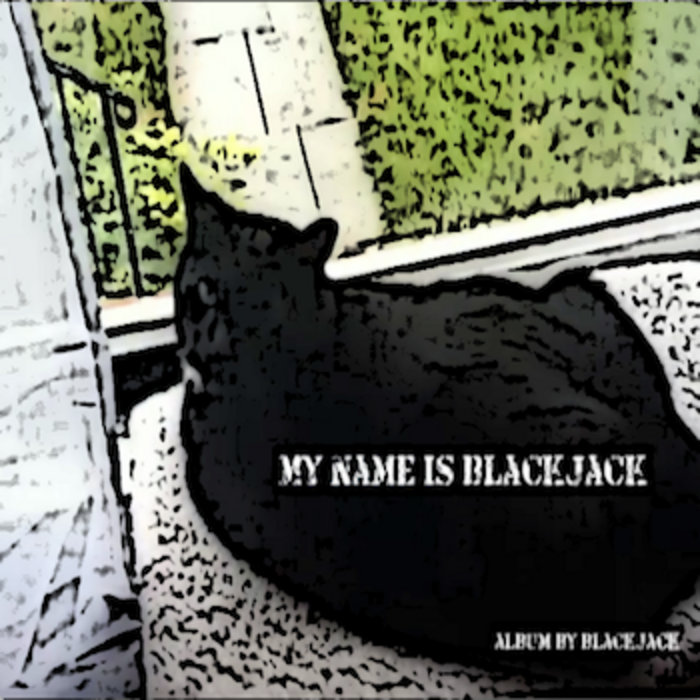 My Name is Blackjack | Blackjack the Cat