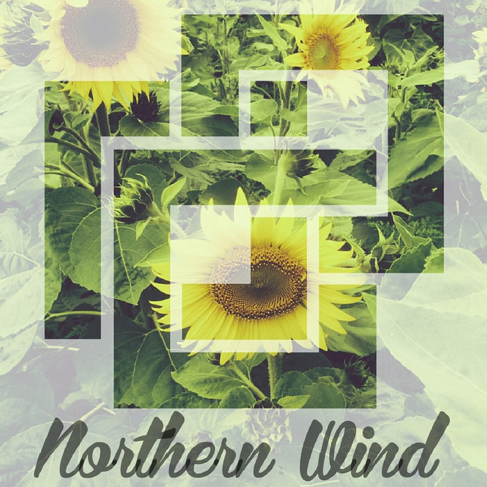 Northern Wind | Northern Wind