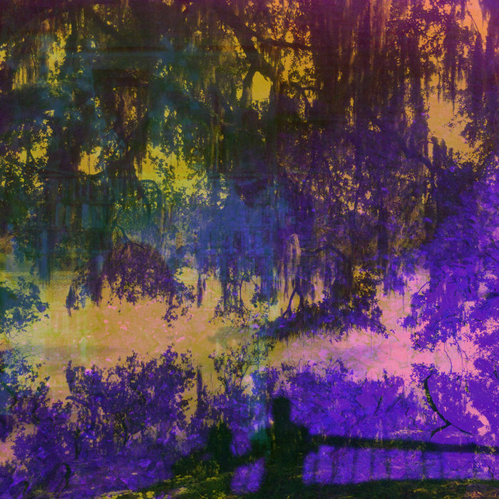 Silhouette, and the Stars Emerging | Widesky | Seth Chrisman