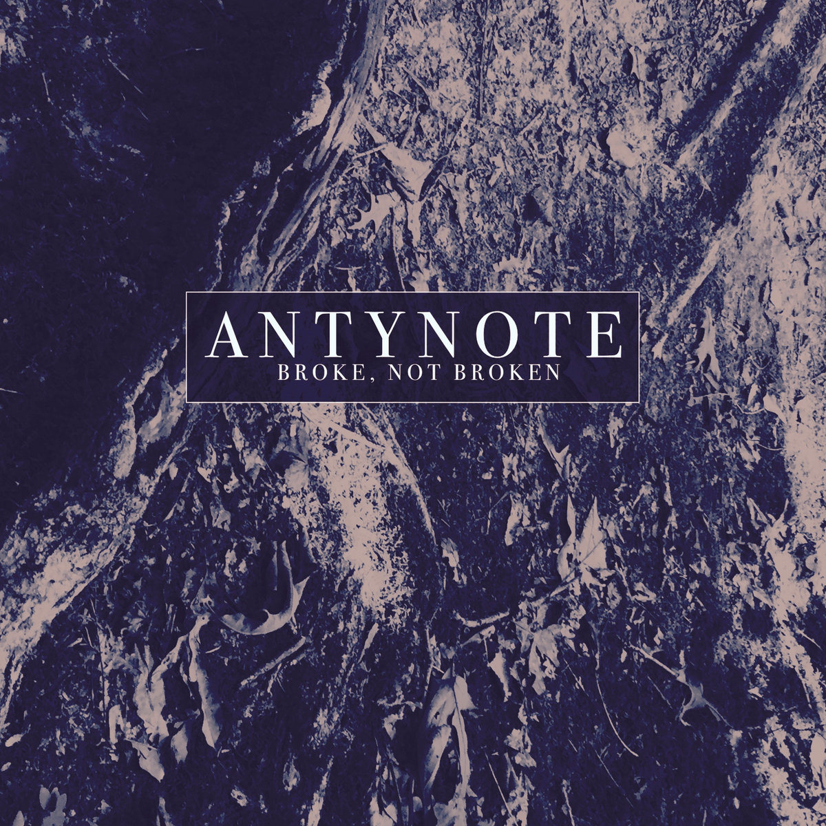 Broke, Not Broken | Antynote