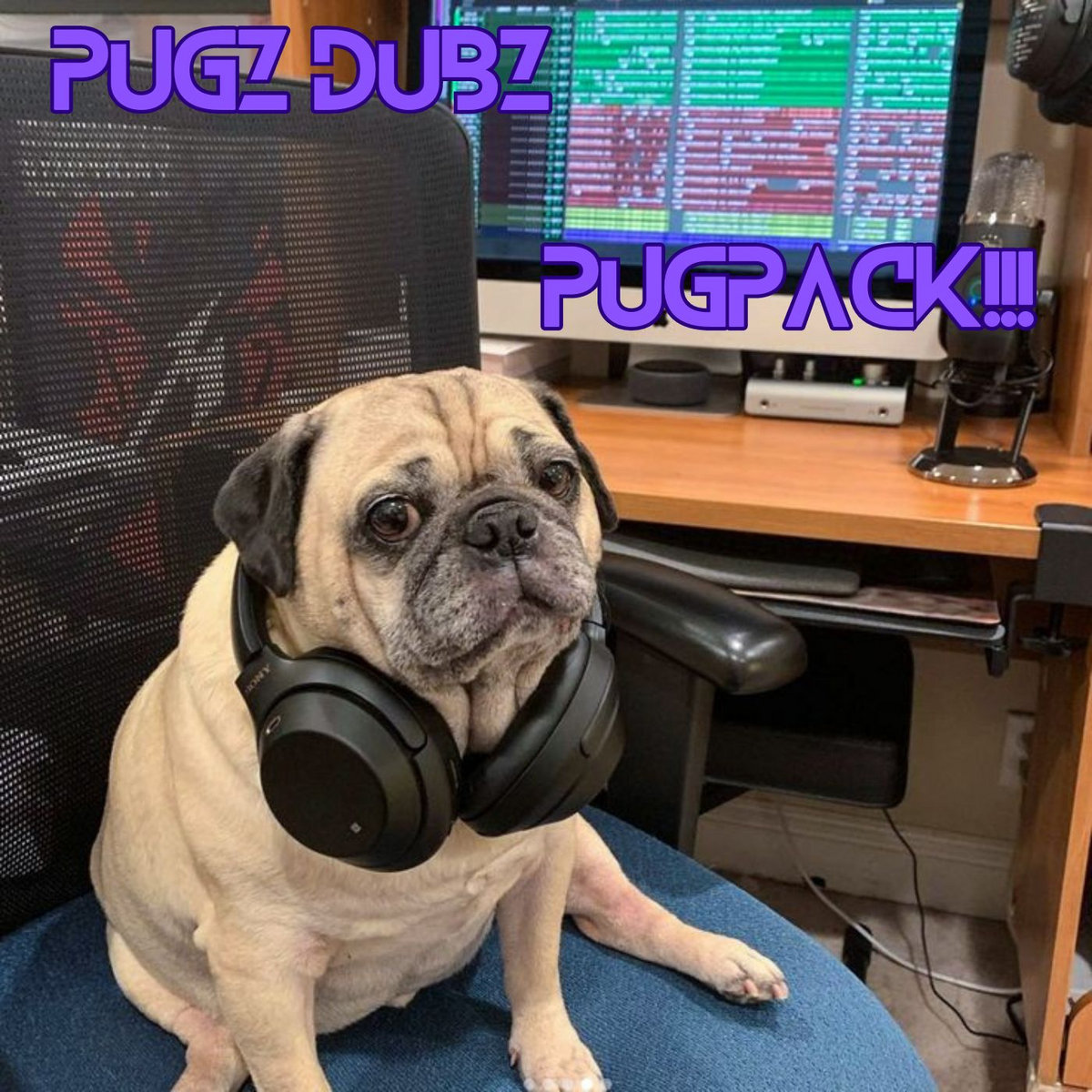 PUGPACK!!! | 𝙋𝙐𝙂𝙕