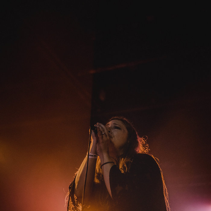 Leatherwing Bat | Book of Wyrms