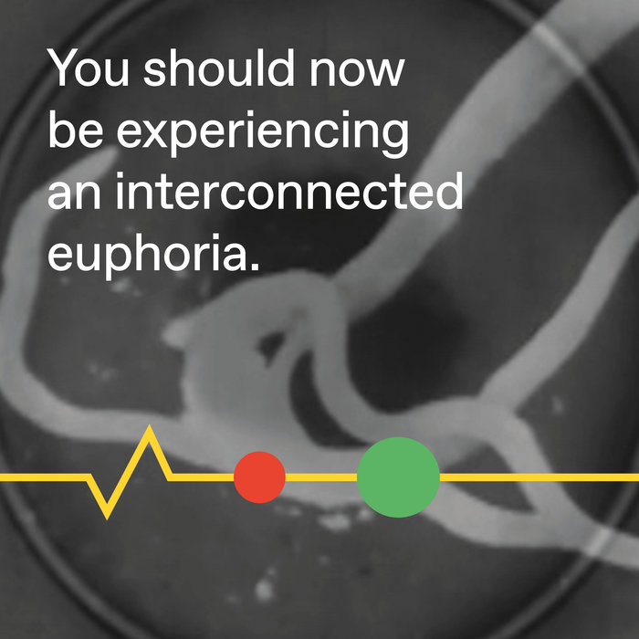 Frequency Interference | Julia E Dyck