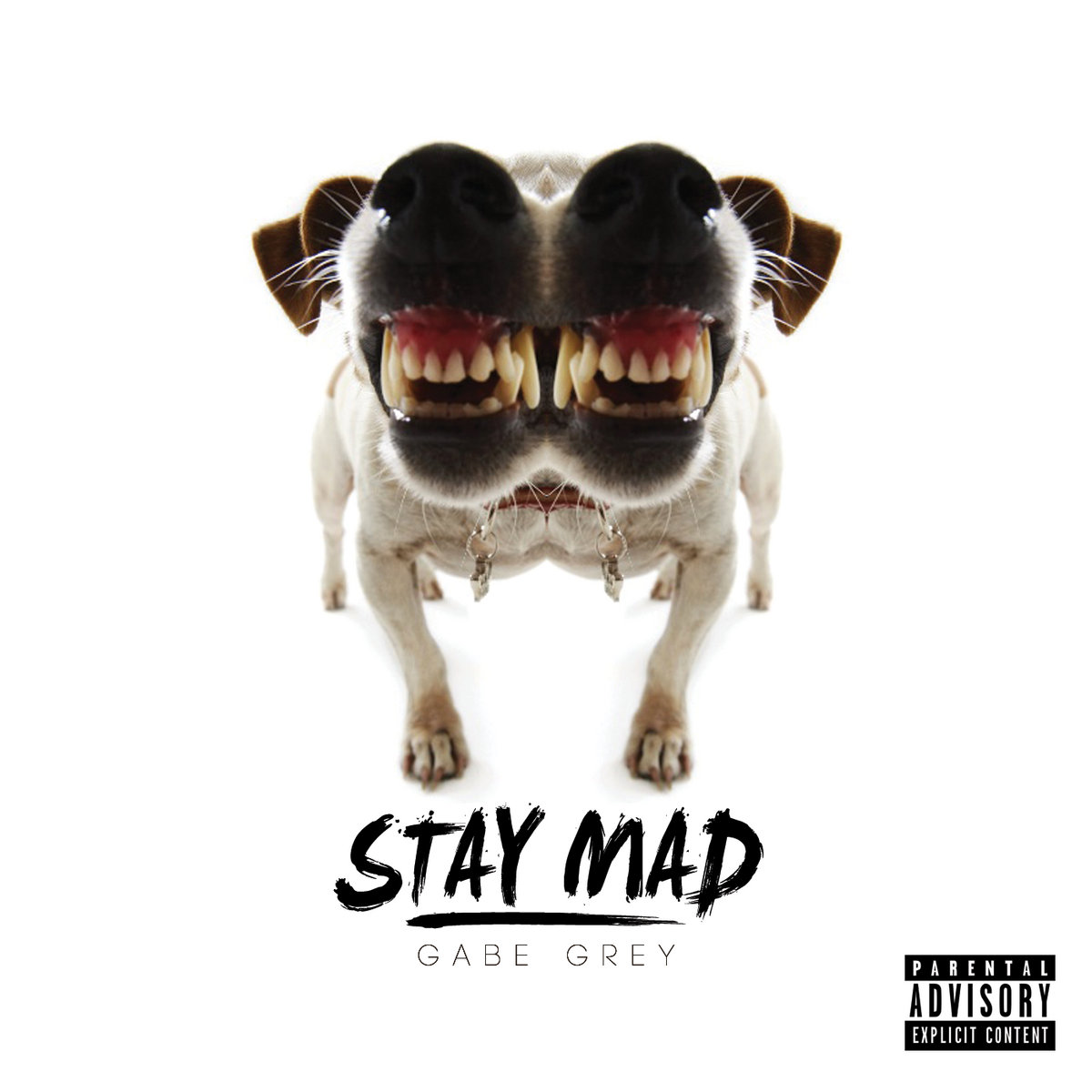 STAY MAD | GABE GREY