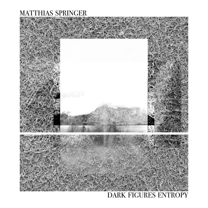 Dark Figures Entropy | Matthias Springer | insectorama