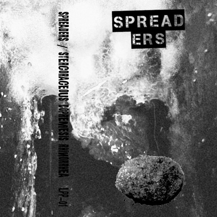SPREADERS / STERCORACEOUS COPREMESIS RHINORRHEA | SPREADERS ...