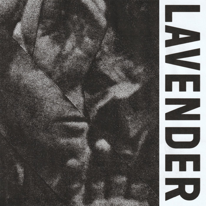Lavender | Lavender