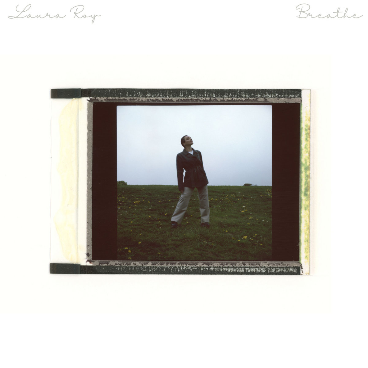 Breathe | Laura Roy