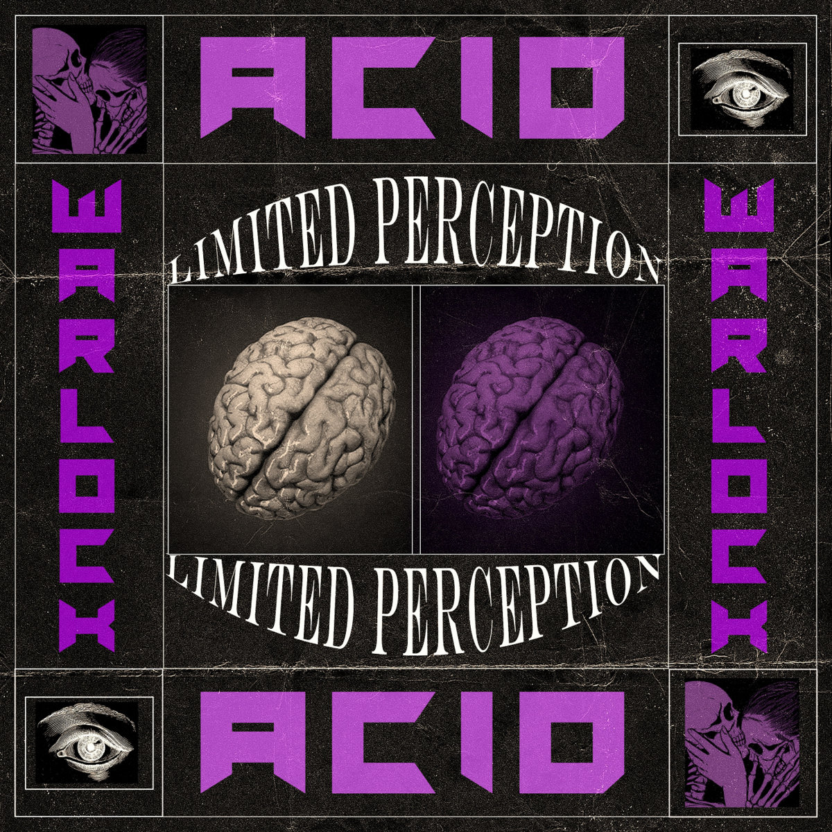 Limited Perception | Acid Warlock