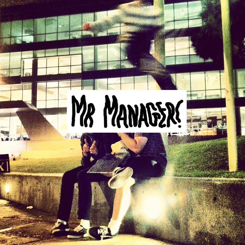 Demo | Mr. Manager!