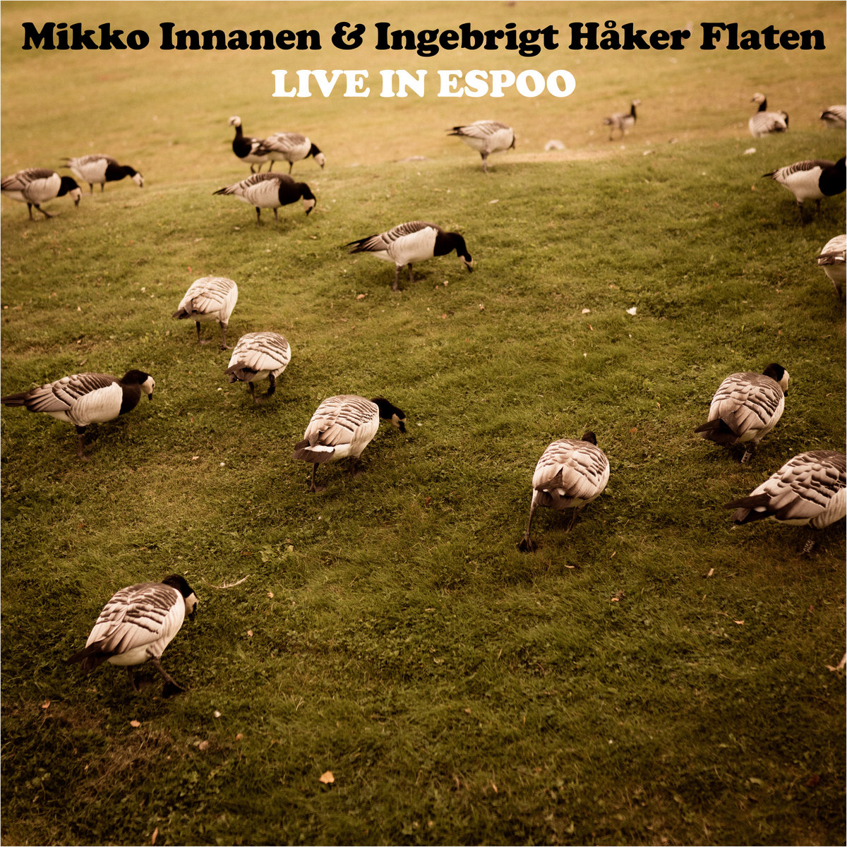 Live in Espoo | Mikko Innanen & Ingebrigt Håker Flaten | Ingebrigt ...