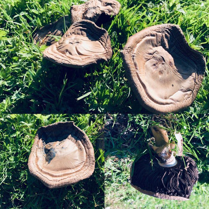 UNTITLED | Michael Reams