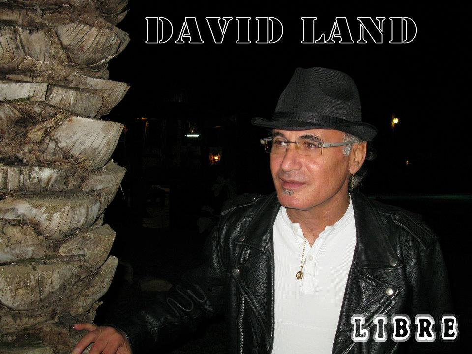 Libre Best of | DAVID LAND