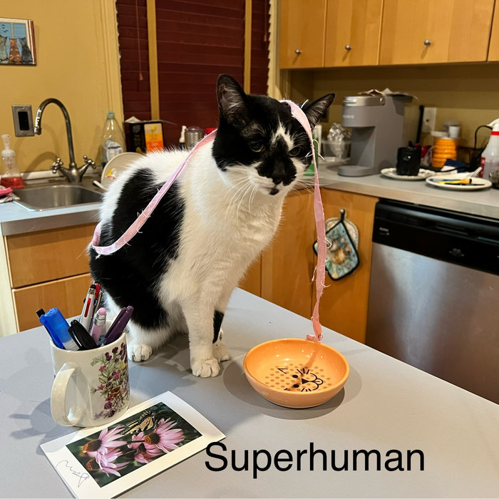 Superhuman | Jim Allen | Jumping Jimmy Allen