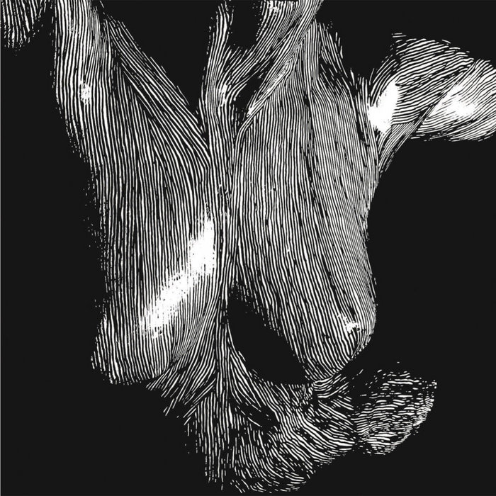 Self-Preserved While The Bodies Float Up (2025 Remaster) | Oceansize