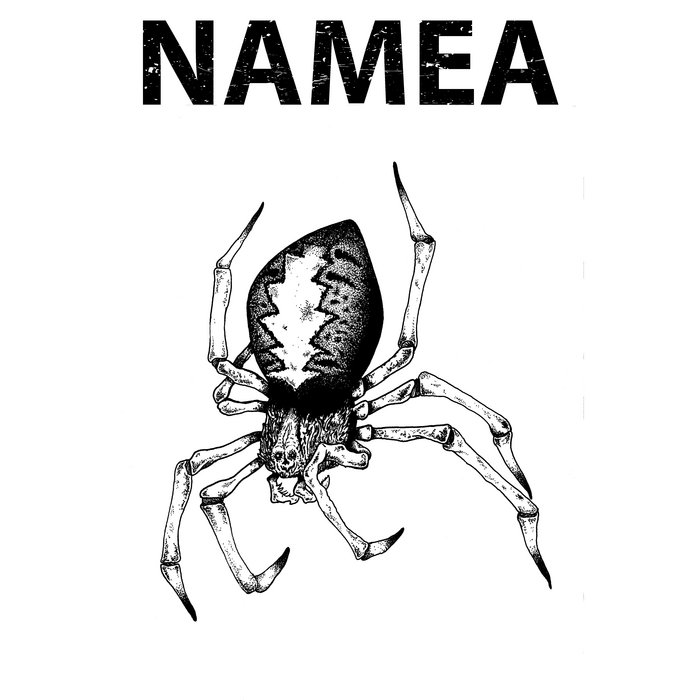Oracle | Namea | NAMEA