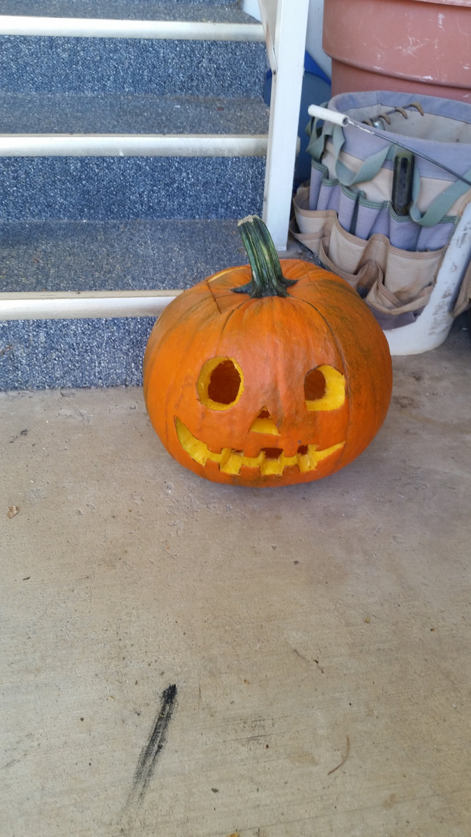 Battle | Chris and toaster | The dead chris