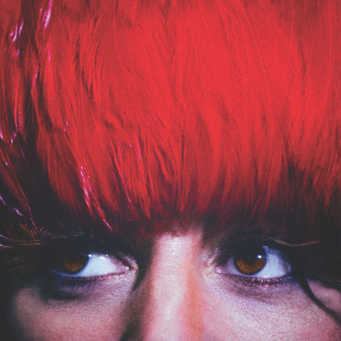 Secrets of Birds | Hilary Downes