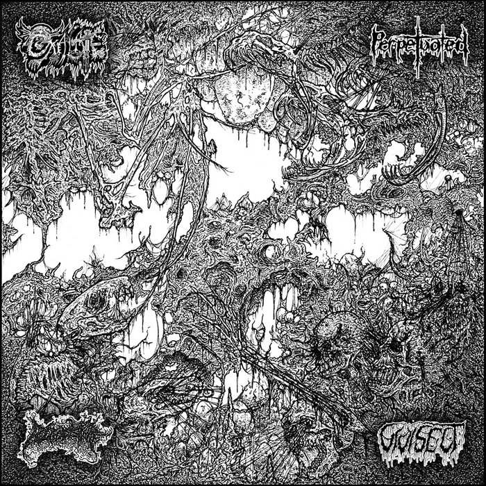 Oxalate / Perpetuated / Blood Spore / Vivisect | OXALATE / PERPETUATED ...