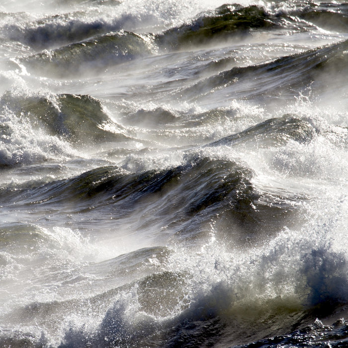 Waves | Doctor Flake