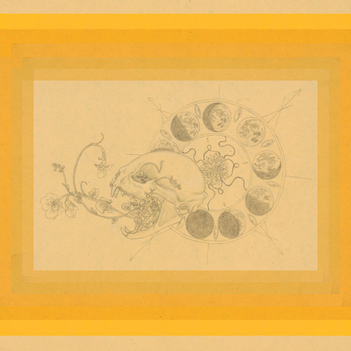 Cat Got Tongue | Alex Archibald