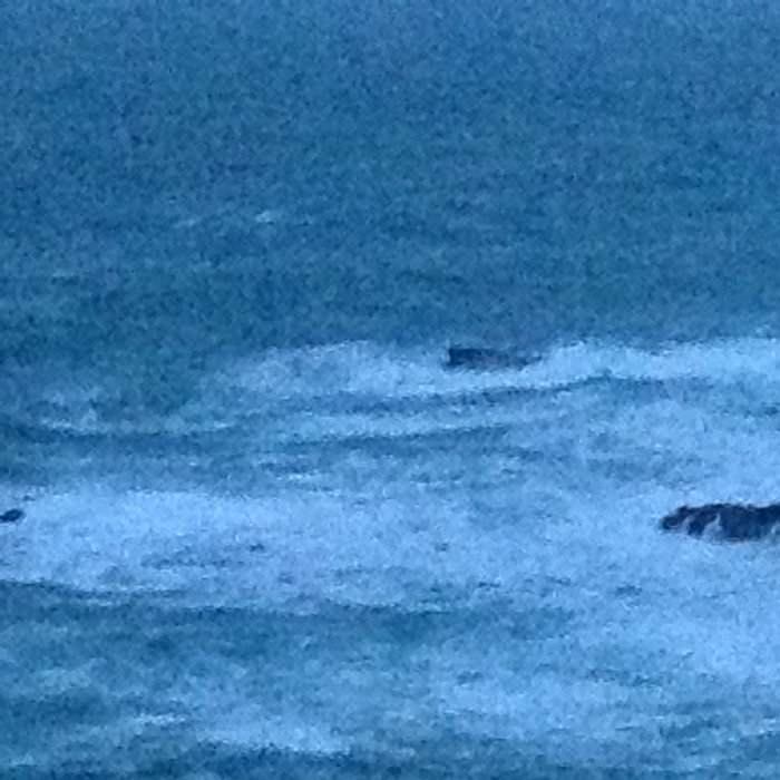 SINEAD MEMORY TAPE (2015) | John T. Gast