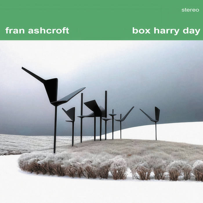 Box Harry Day | Fran Ashcroft