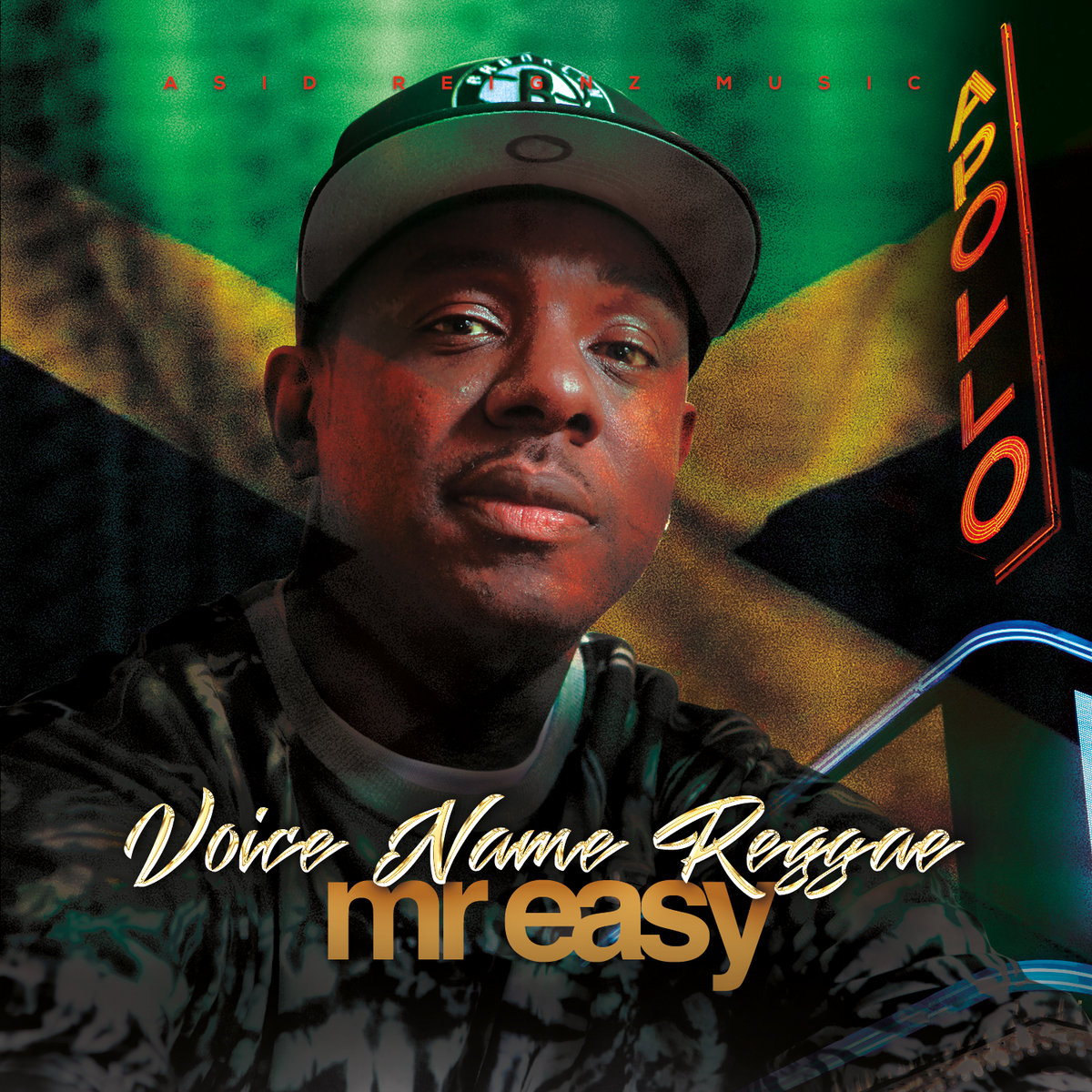 Voice Name Reggae | Mr Easy