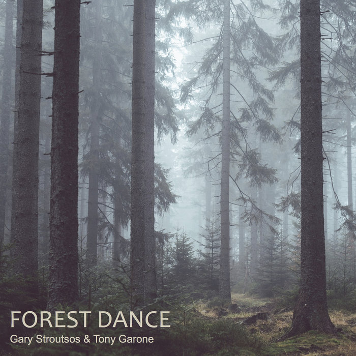 Forest Dance | Forest Dance