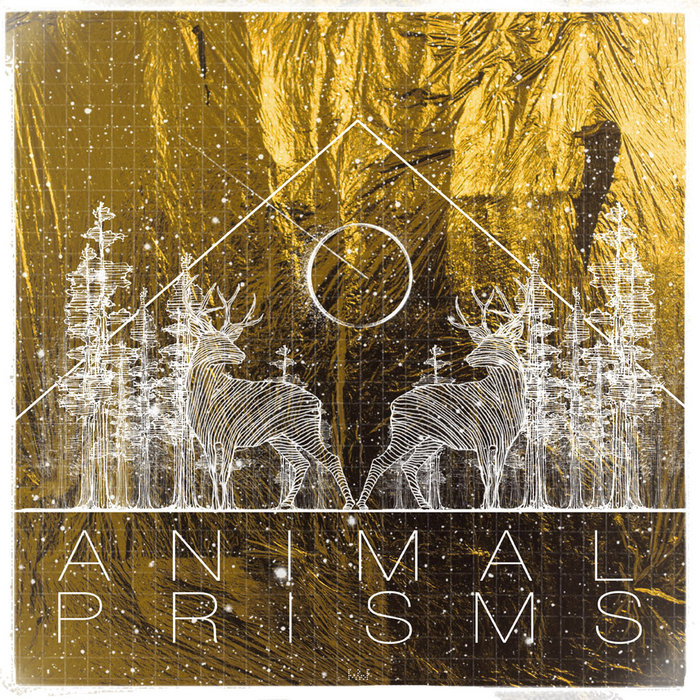 Animal Prisms | Pop Pistol