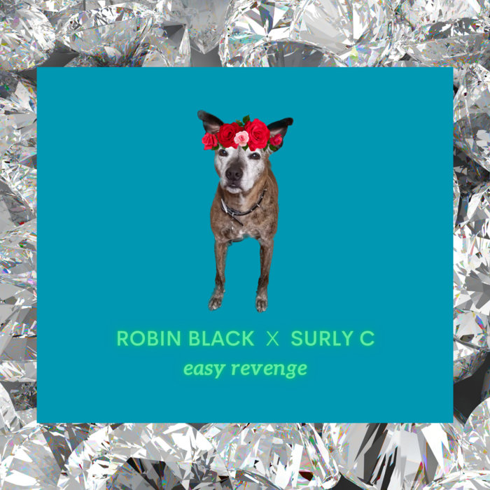 easy revenge ROBIN BLACK & SURLY C | Robin Black