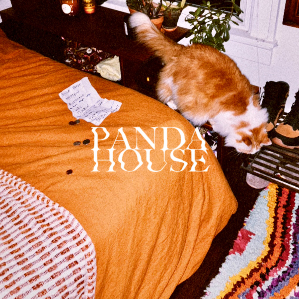 Panda House | Panda House