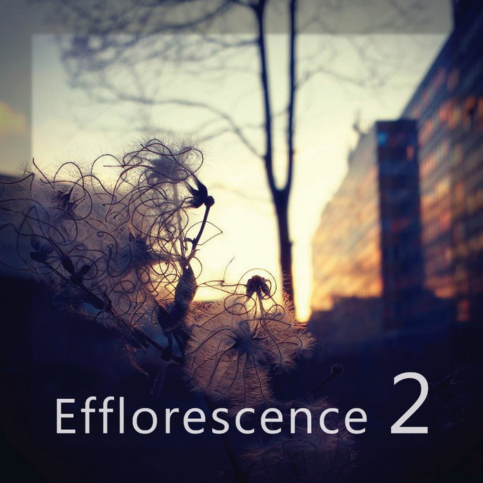 Efflorescence 2 | Various Artists | At Sea Compilations