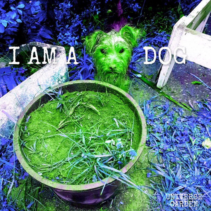 I Am a Dog | Universe Garden, Arroiz Recordz | Universe Garden
