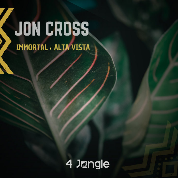 Immortal | Jon Cross | DNBB Records