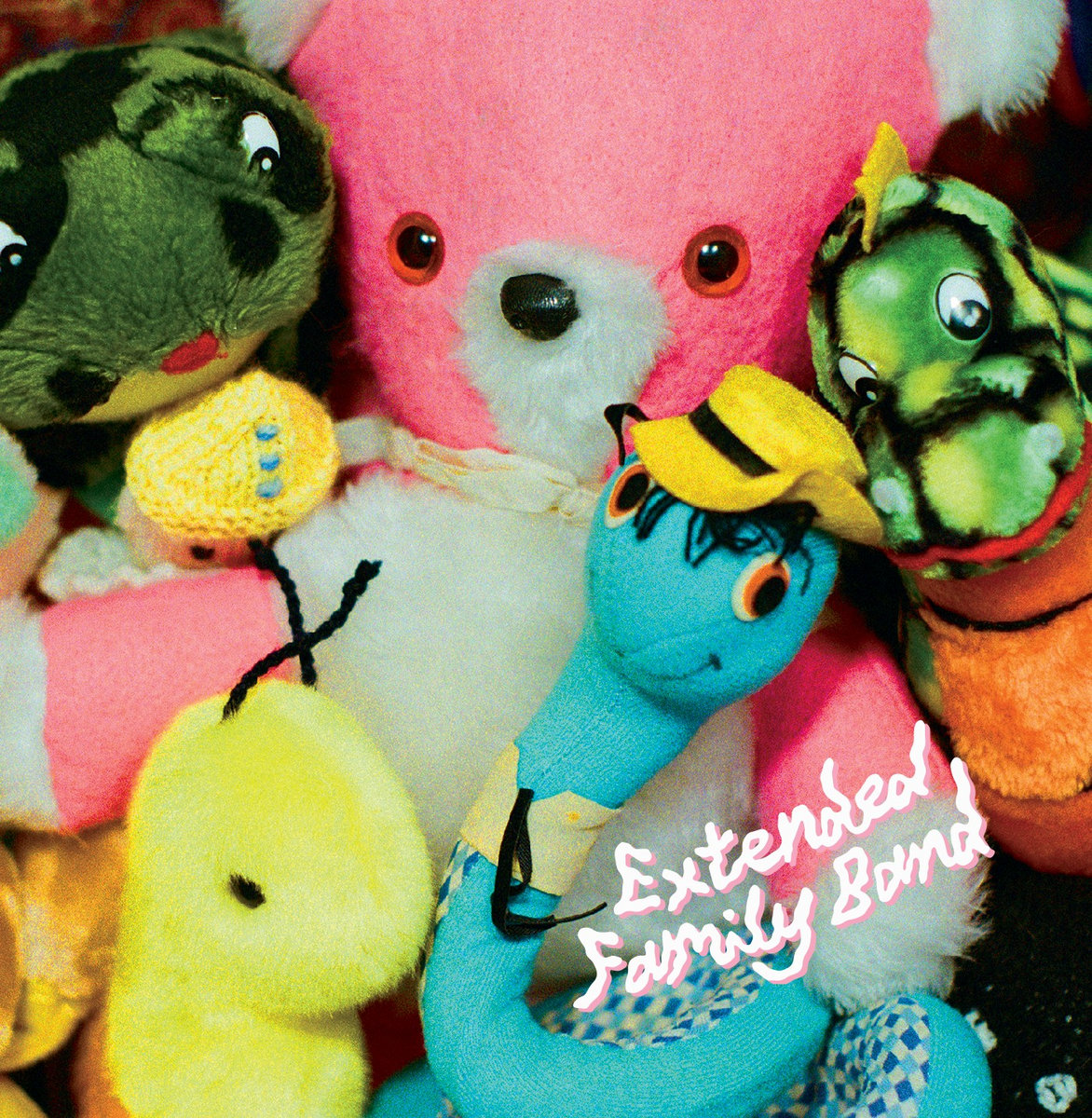 The Plush Album | Extended Family Band | Tom Rivière