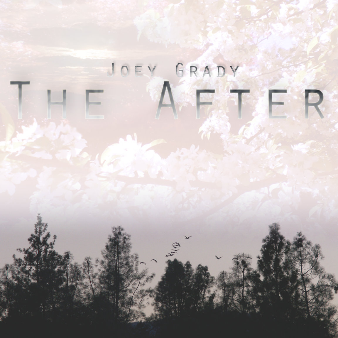 The After | Joey Grady