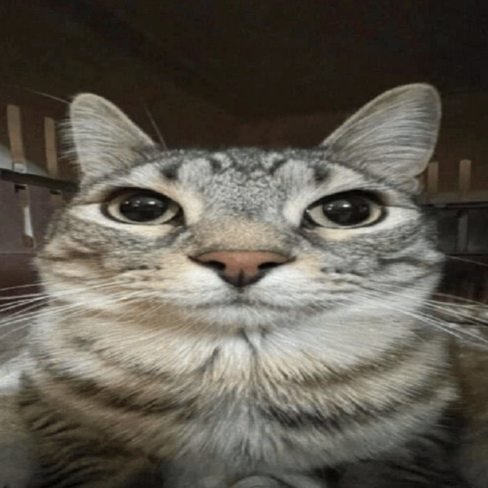 please do not listen to this song | AZALI