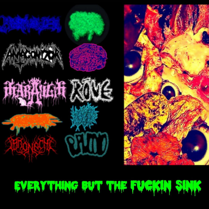 Everything But the Fuckin' Sink (Comp) | Infant Gallows, Various ...