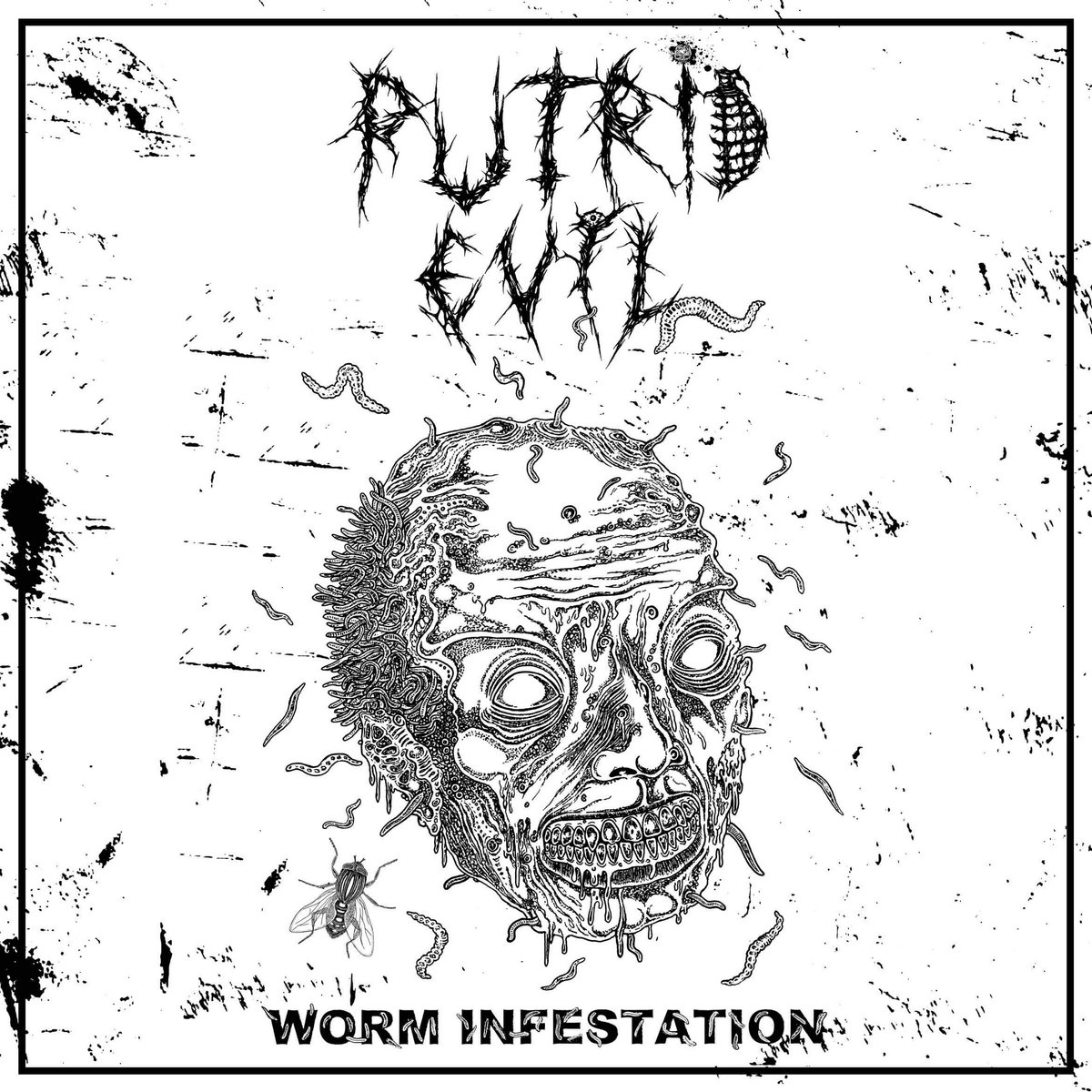 Worm Infestation | Putrid Evil