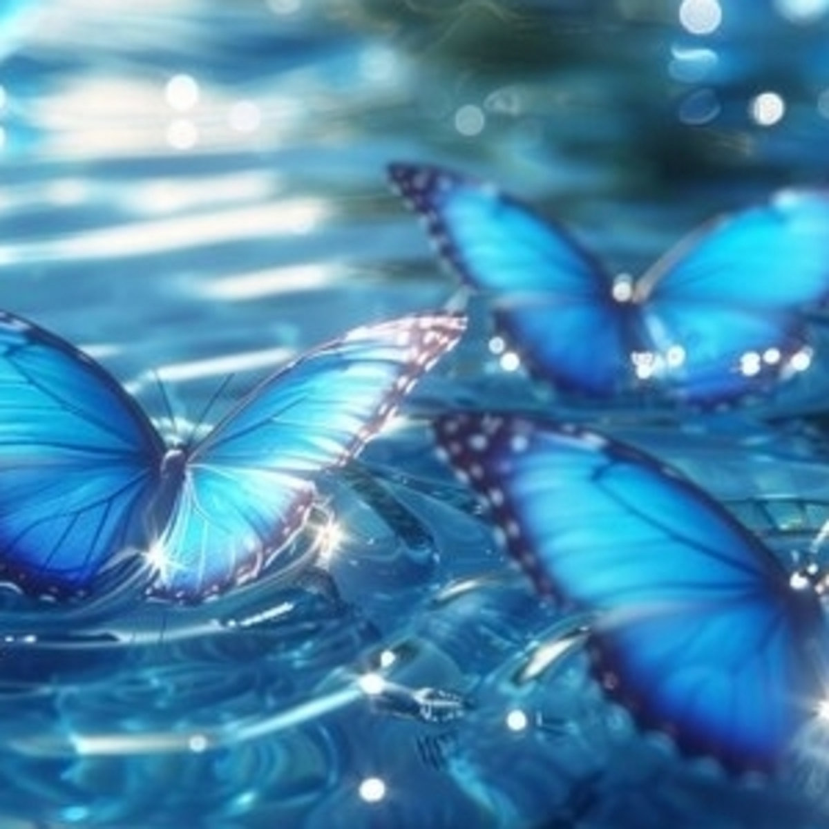 BUTTERFLIES (SAINT DEEPTHROAT CLUB EDIT) | saint deepthroat