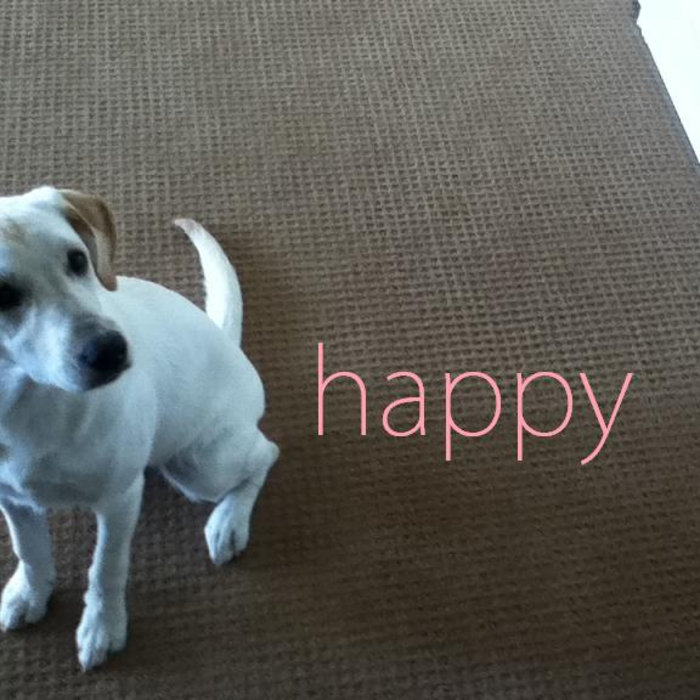 happy | jock johnson