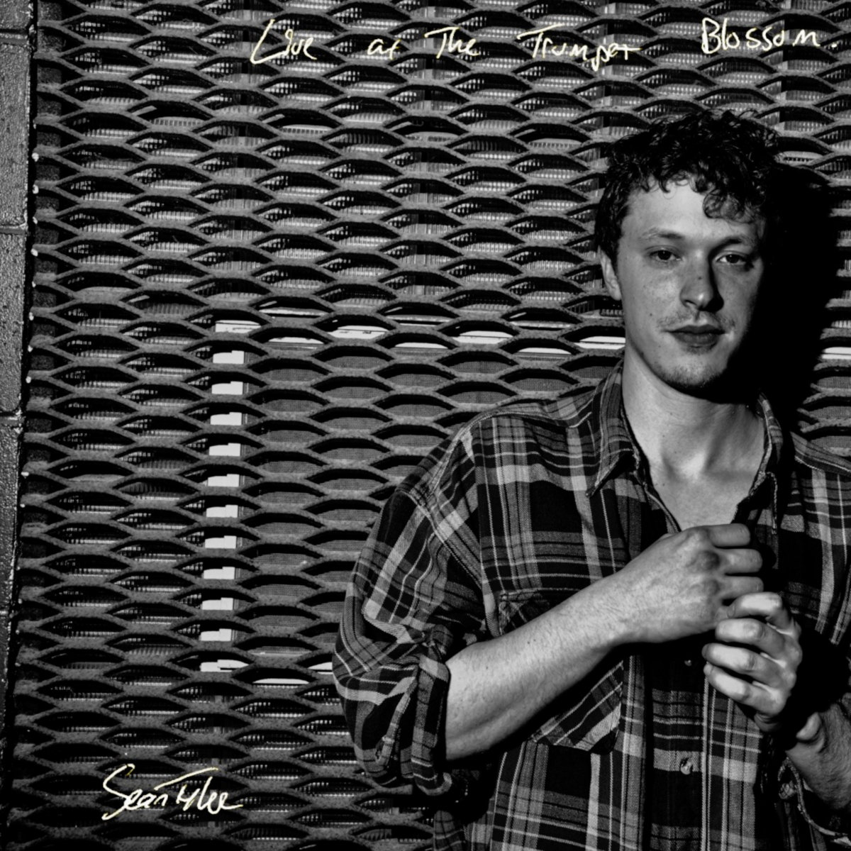 Live at The Trumpet Blossom | Sean Tyler