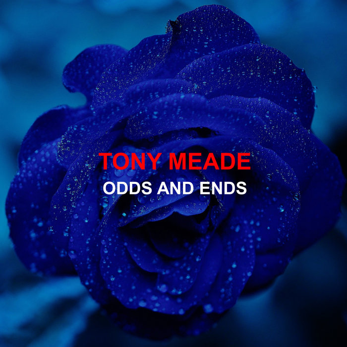 Odds And Ends | Tony Meade